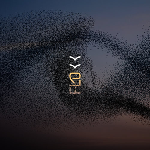 Flokk logo • Graphic Design Portfolio • North Wales UK